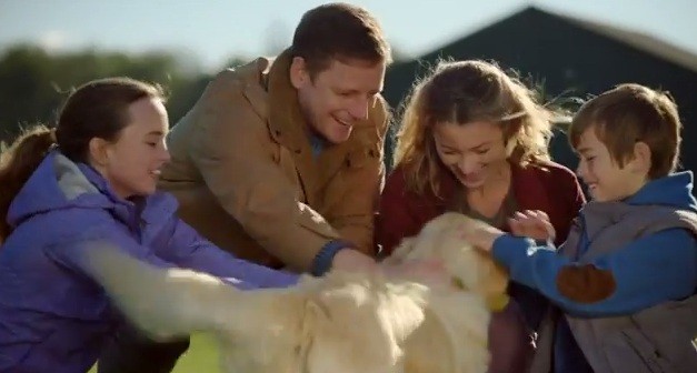 Dogs Trust Campaign Aims To Change 'outdated And Incorrect' Perceptions ...